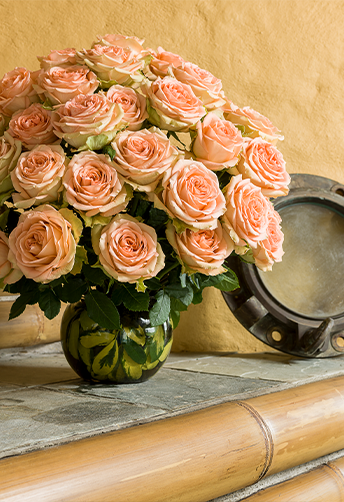 Rosentantau – Leading the new generation of roses